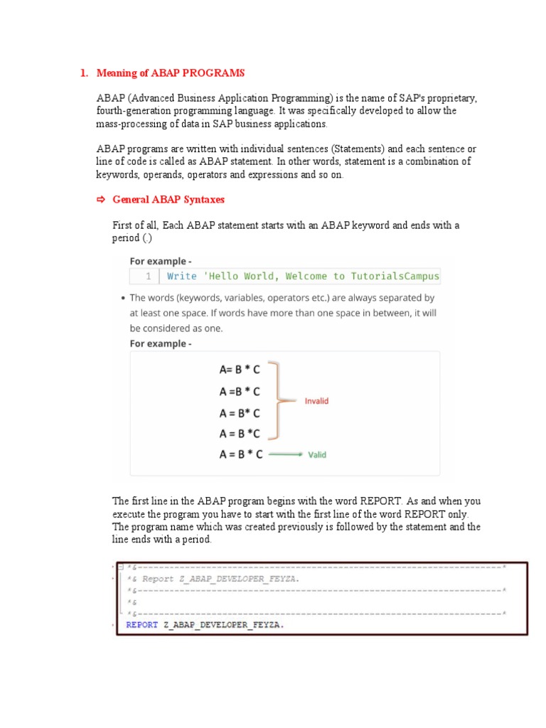 Meaning Of Abap Programs Pdf 