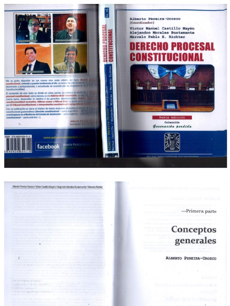 Libro Derecho Procesal Constitucional Alberto Pereira Orozco-comprimido ...