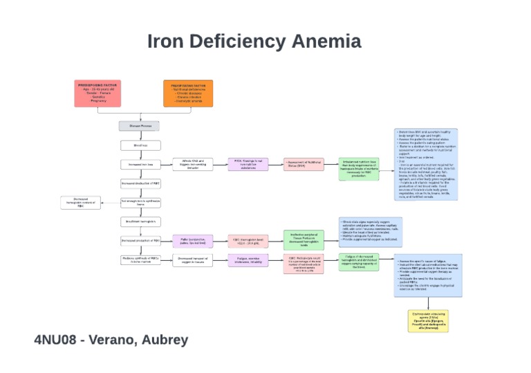 Iron Deficiency Anemia Causes, Signs & Treatment | PDF | Anemia | Red ...