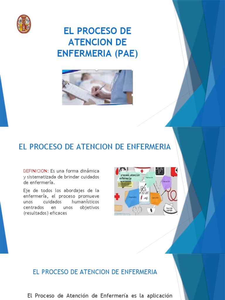 El Proceso de Atencion de Enfermeria (Pae) | PDF | Cognición | Ciencia ...