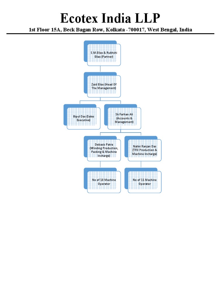 Ecotex India LLP leadership and organizational structure | PDF