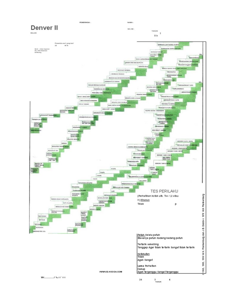 Format DDST II | PDF