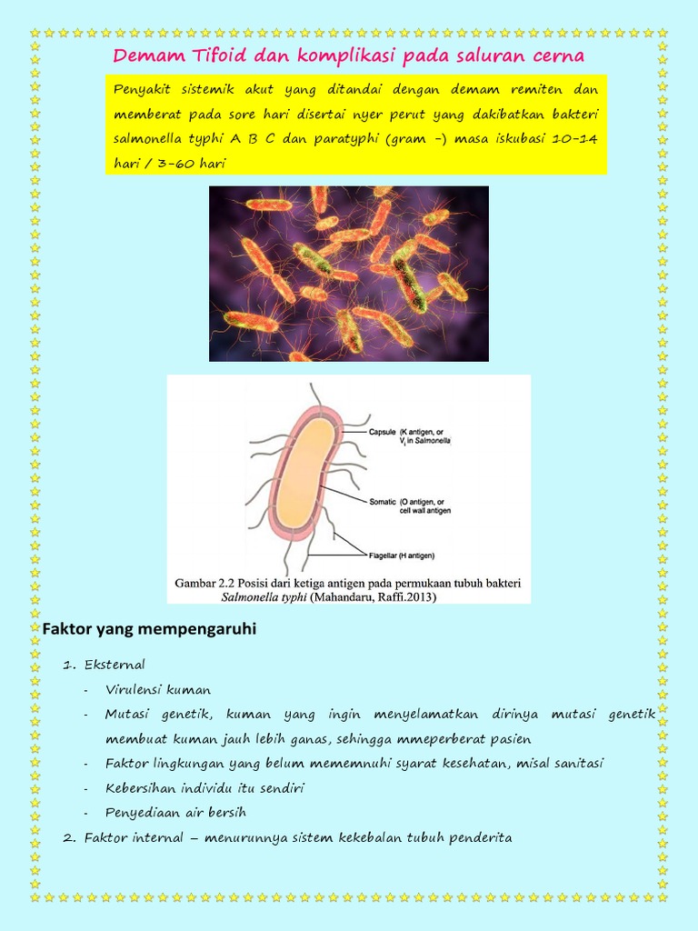 IPD Demam Tifoid Dan Komplikasi Pada Saluran Cerna | PDF