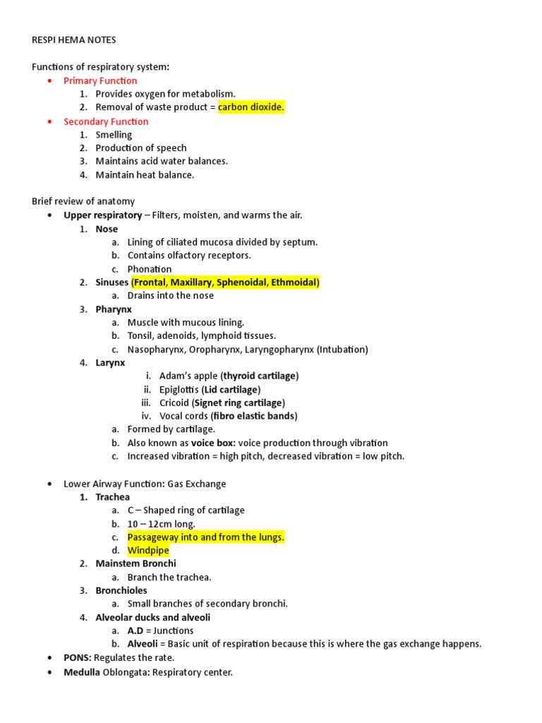 A Comprehensive Overview of Respiratory System Anatomy, Physiology ...