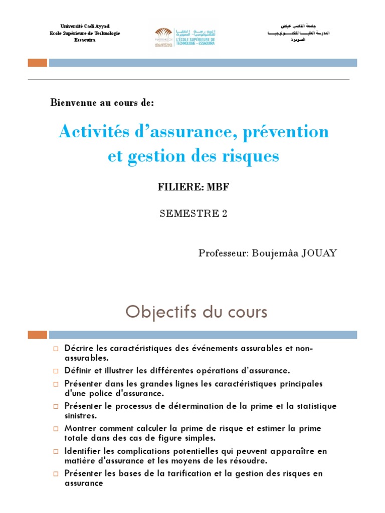 Cours Assurance et Gestion des Risques | PDF | Assurance | Risque
