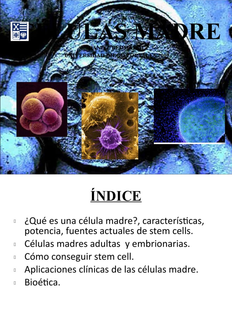 Stem Cells | PDF | Célula madre | Potencia celular