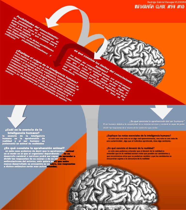 Infografia Temas 9 y 10 PDF | PDF