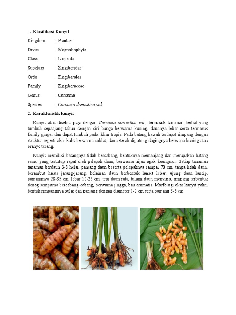 Kunyit | PDF