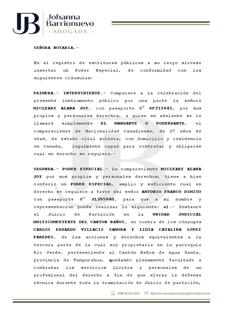 Modelo de Poder Especial | PDF