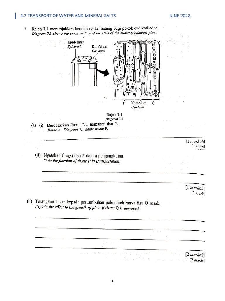 4.2 Transport of Water & Mineral Salts, 4.3 Translocation | PDF