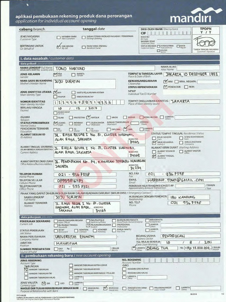 Panduan Pengisian RDN Mandiri | PDF