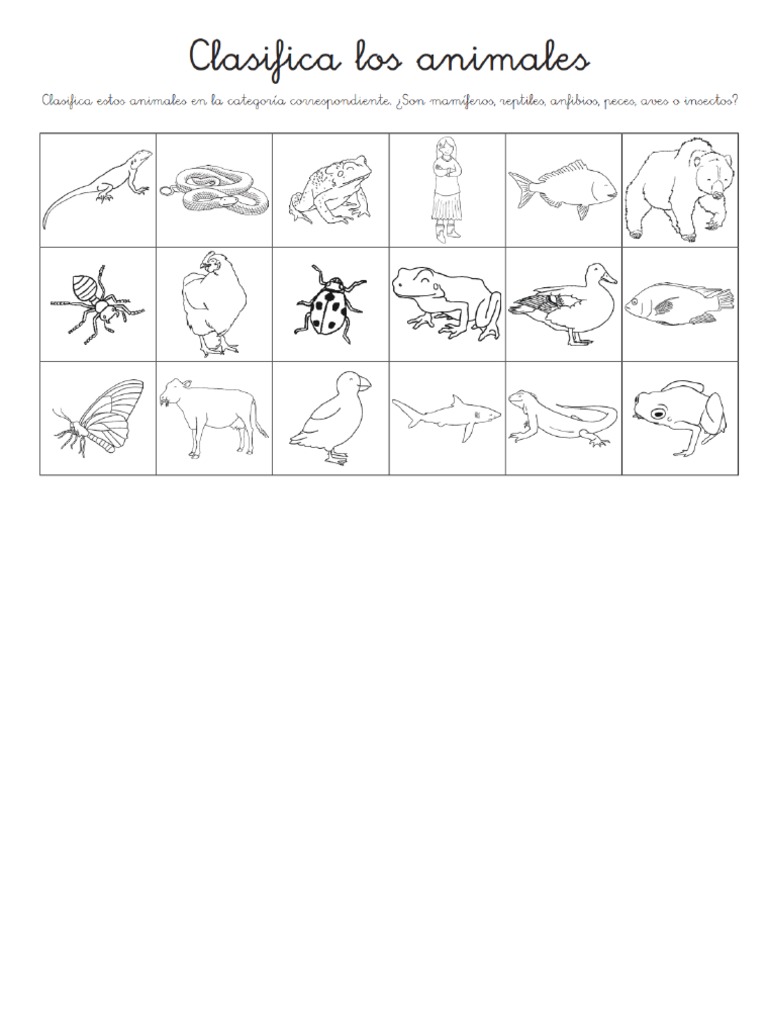 FICHA - Actividad Clasificación Animales | PDF