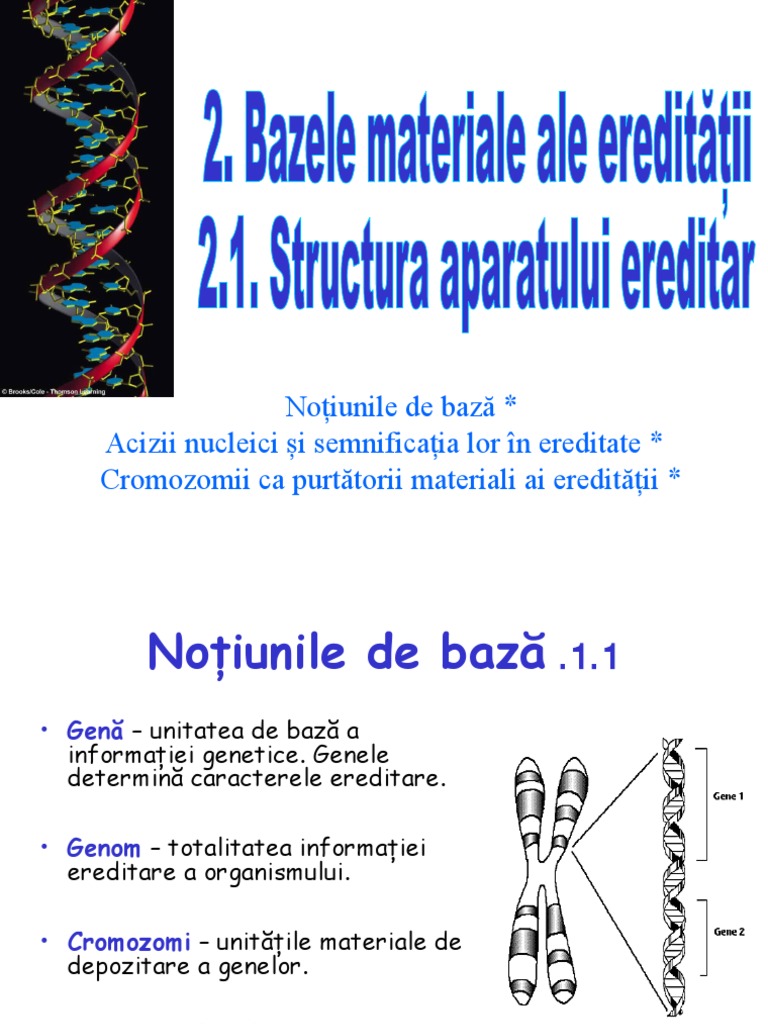 2 - 1 - Aparatul Ereditar | PDF