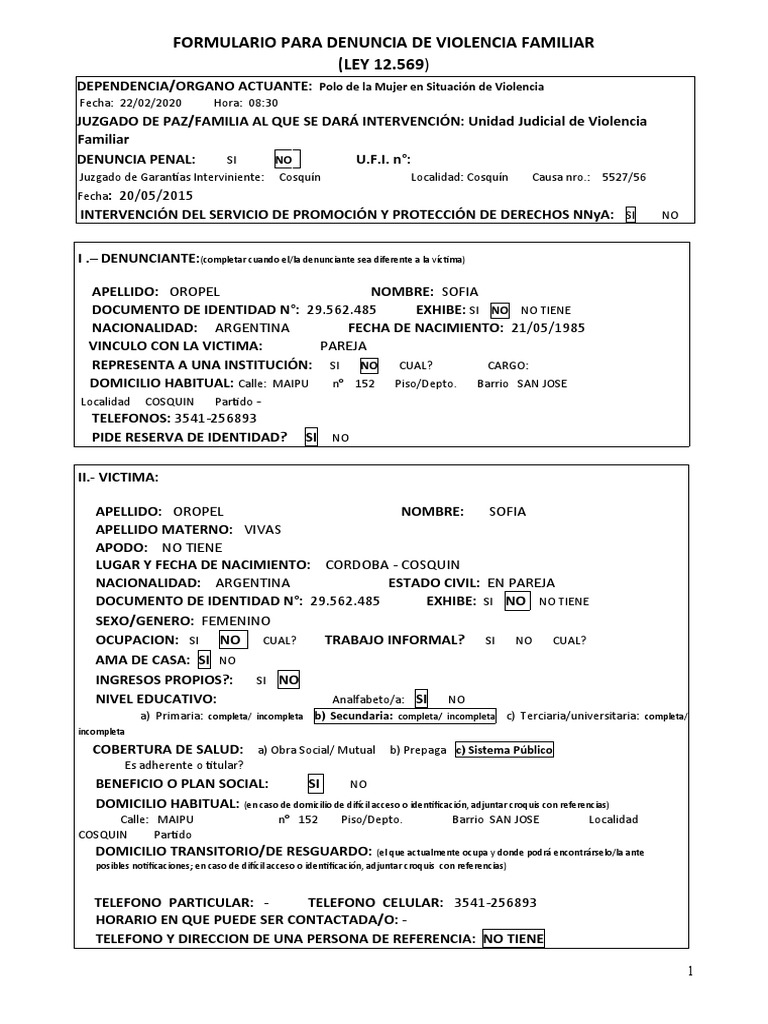 Formulario-Violencia Word | PDF | Violencia | Agresión