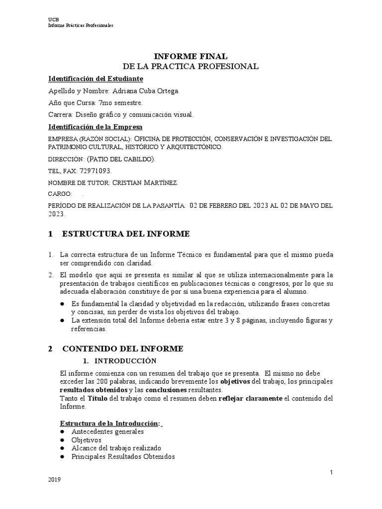 Modelo Informe PRACTICAS PROF-1 | PDF | Experiencia