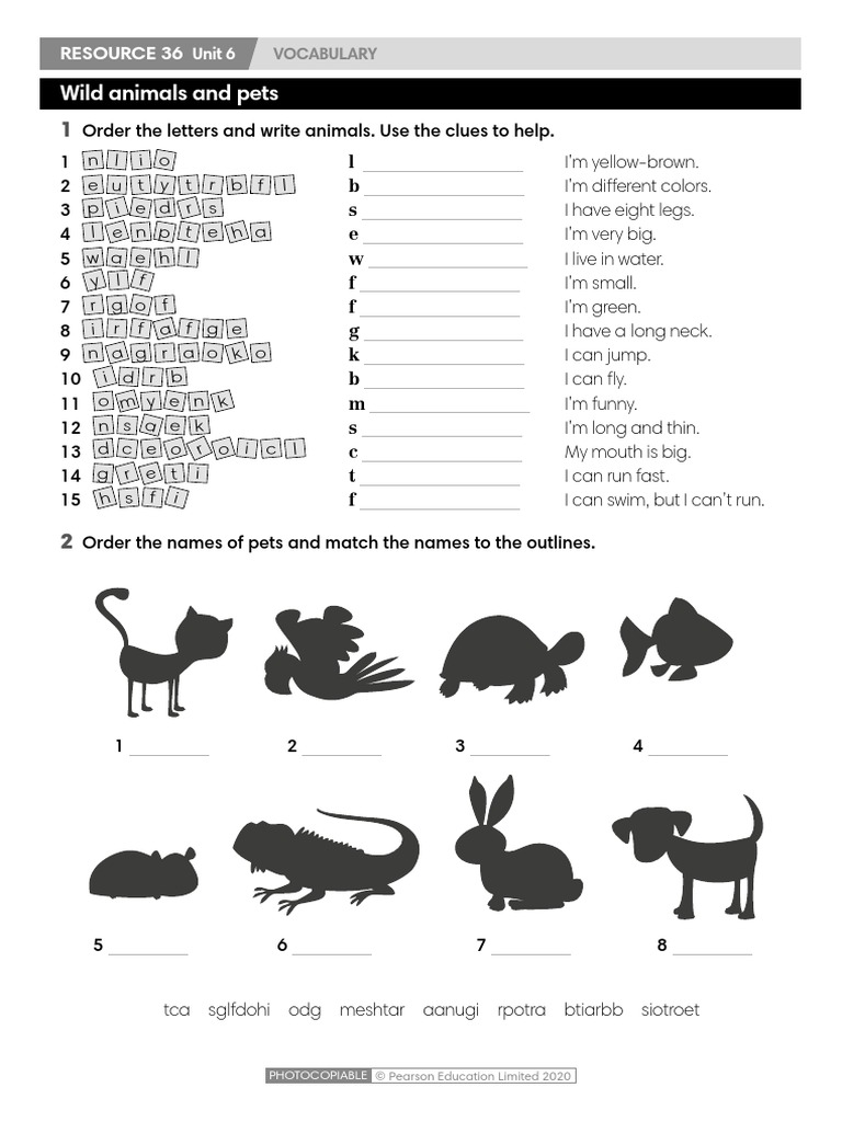 WWAm Starter Photocopiable Resources U6 | PDF | Linguistics