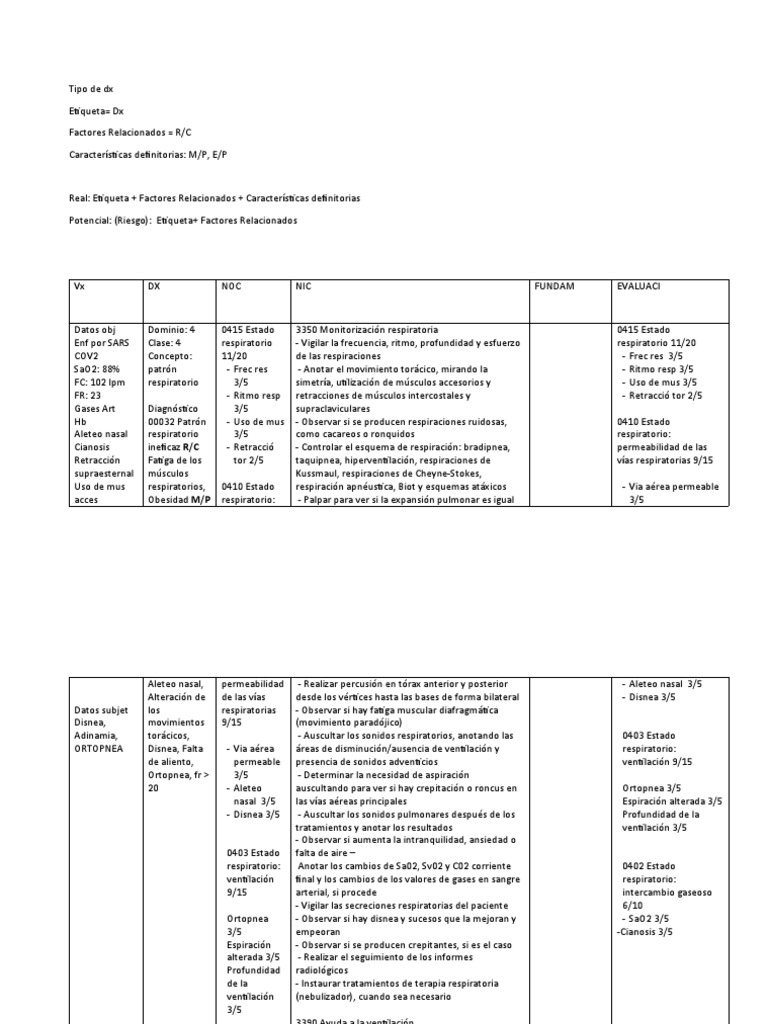 PAE | PDF | Sistema respiratorio | Respiración