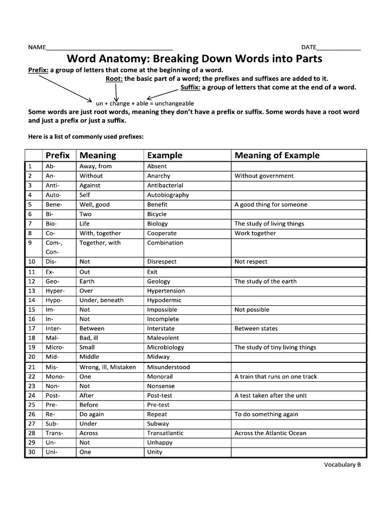 Atividades Word Anatomy | PDF