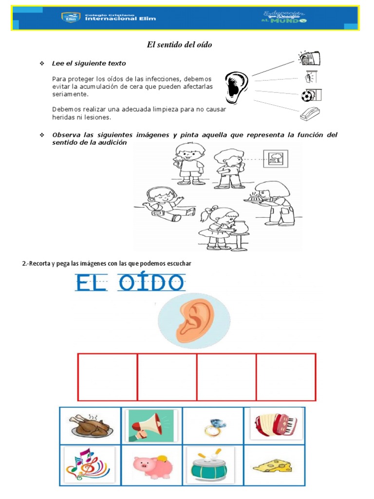 El Sentido Del Oído (CIENCIA Y TECNOLOGIA) | PDF | Arte