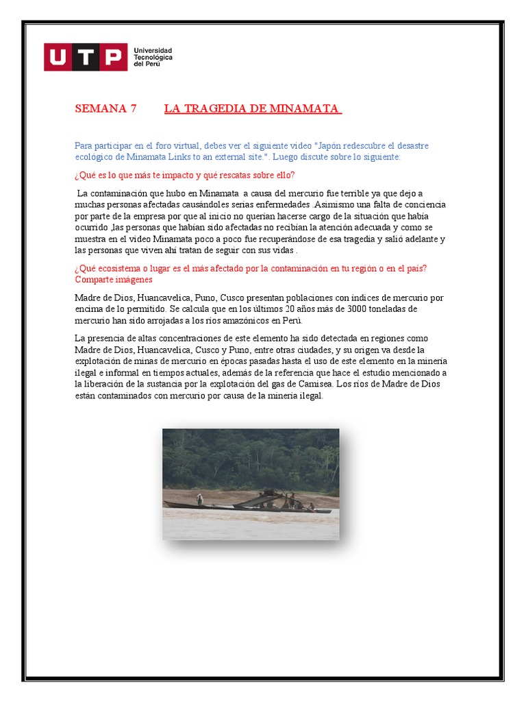 La tragedia de Minamata y su legado | PDF | Viajes y turismo