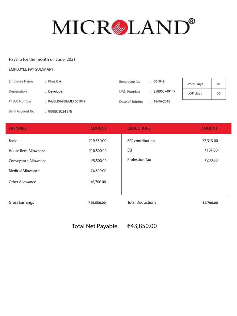 Salary Slip | PDF | Paycheck | Services (Economics)