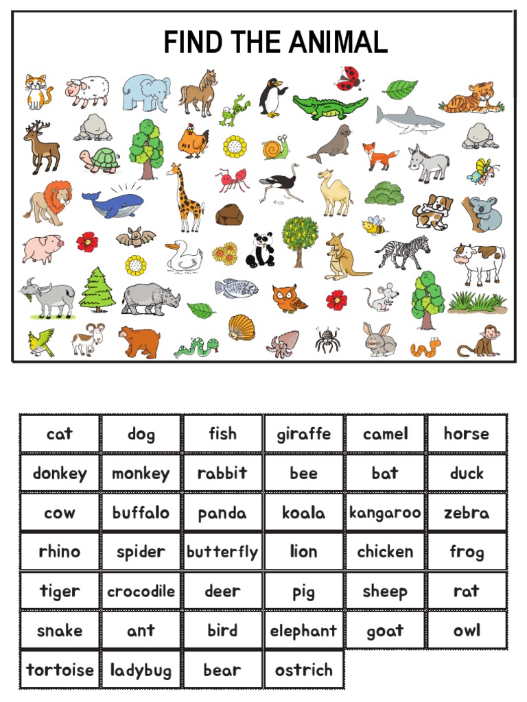 Find The Animals | PDF