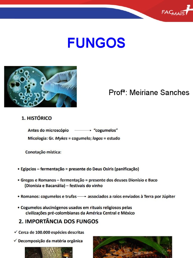 Aula Fungos PDF | PDF | Candidíase | Fungo