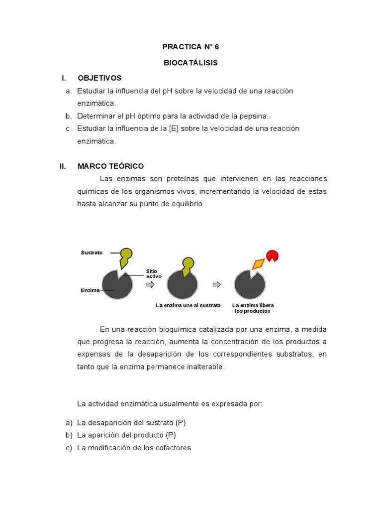 Biocatálisis | PDF | Enzima | Proteínas