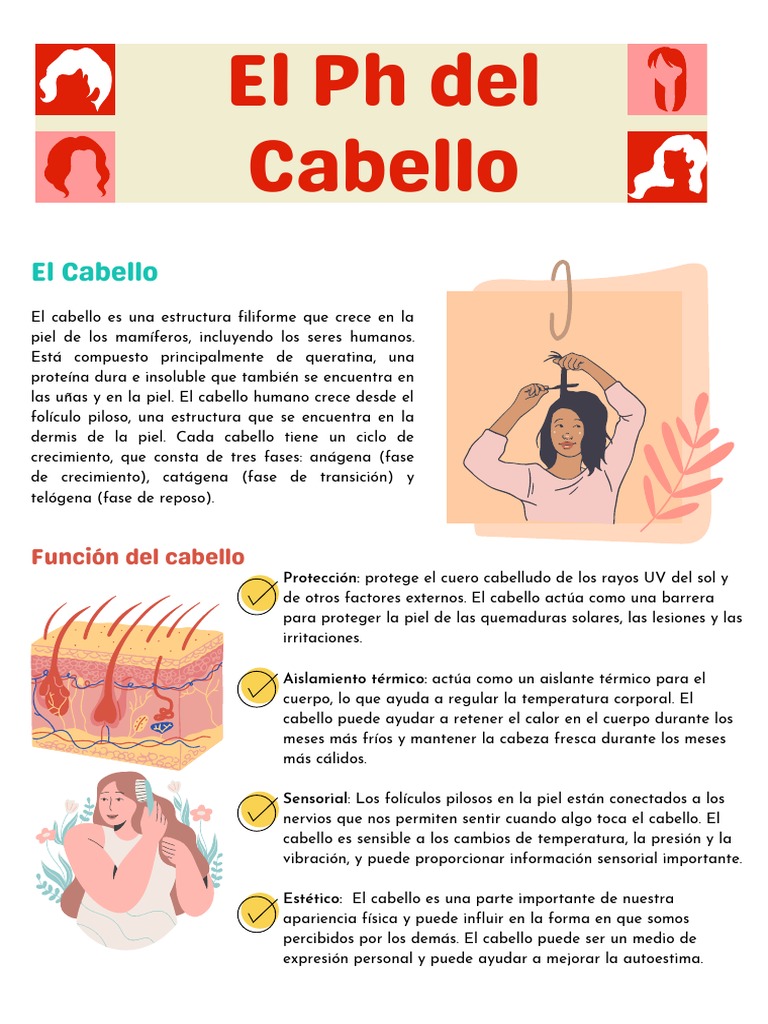 PH Del Cabello PDF | PDF | Pelo | Piel