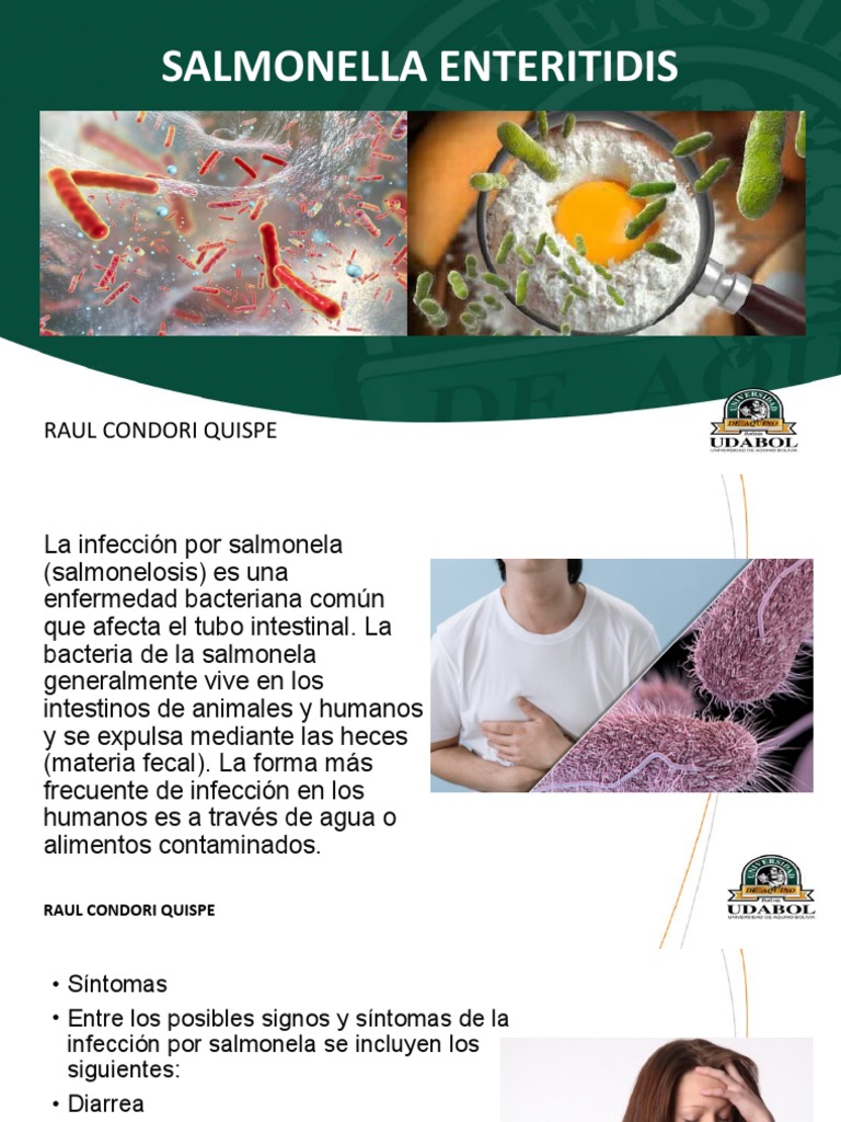 Salmonella Enteritidis | PDF