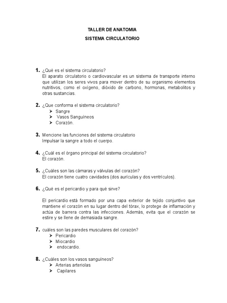 Taller Sistema Circulatorio | PDF | Sistema circulatorio | Corazón