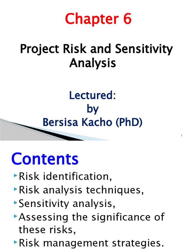 Project Risk and Sensitivity Analysis | PDF | Net Present Value | Risk