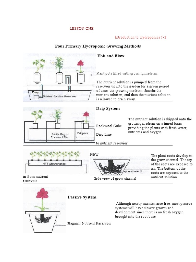 Lesson One | PDF | Hydroponics | Botany