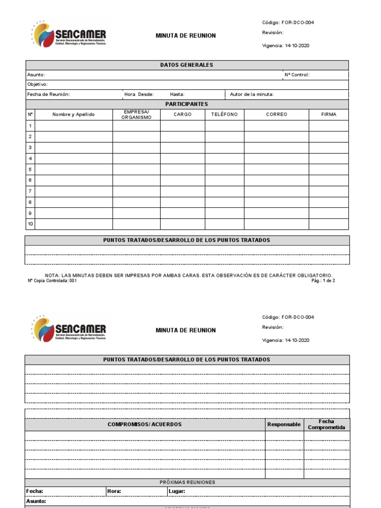 Minuta de Reunión: Instrucciones y Formato | PDF
