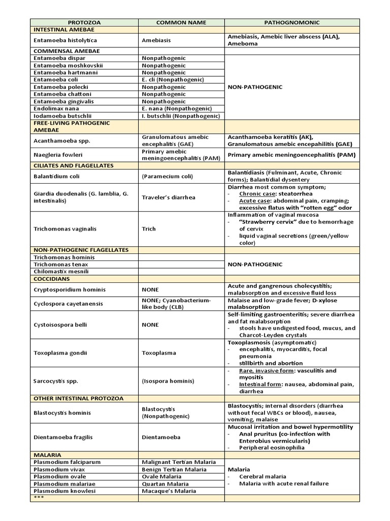 P2 REVIEWER (Part 2) | PDF | Protozoa | Clinical Medicine