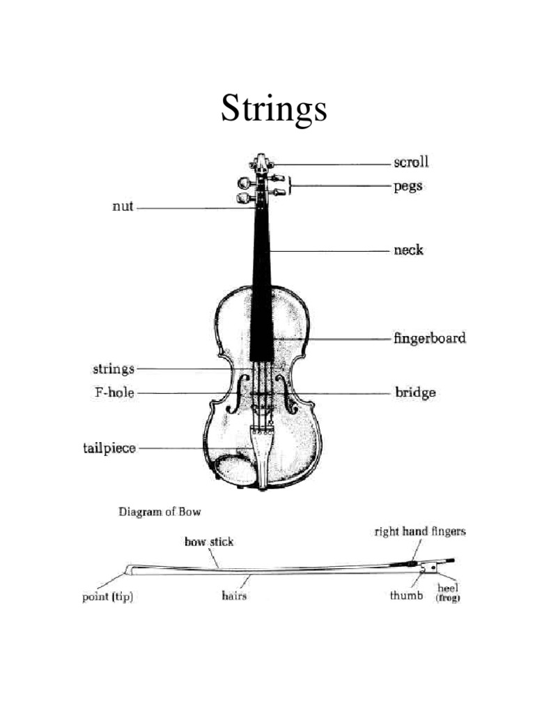 Violin Double Triple Stops | PDF | String Instruments | Violin