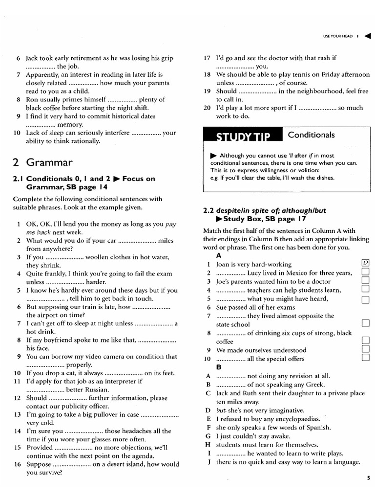 Conditional Exercises - Grammar in Use | PDF