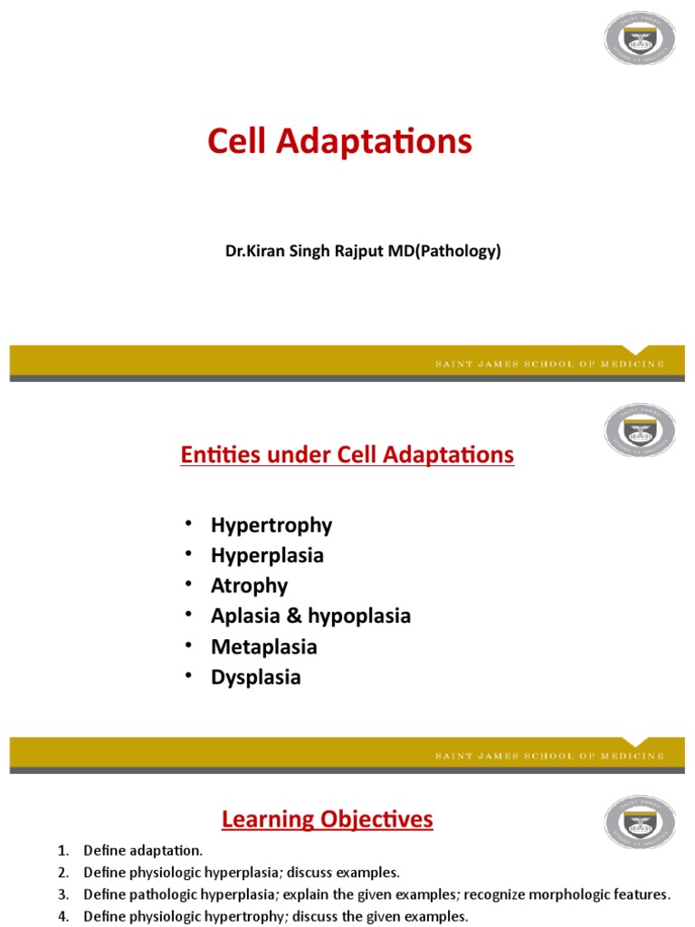 Cellular Adaptions | PDF | Atrophy | Epithelium