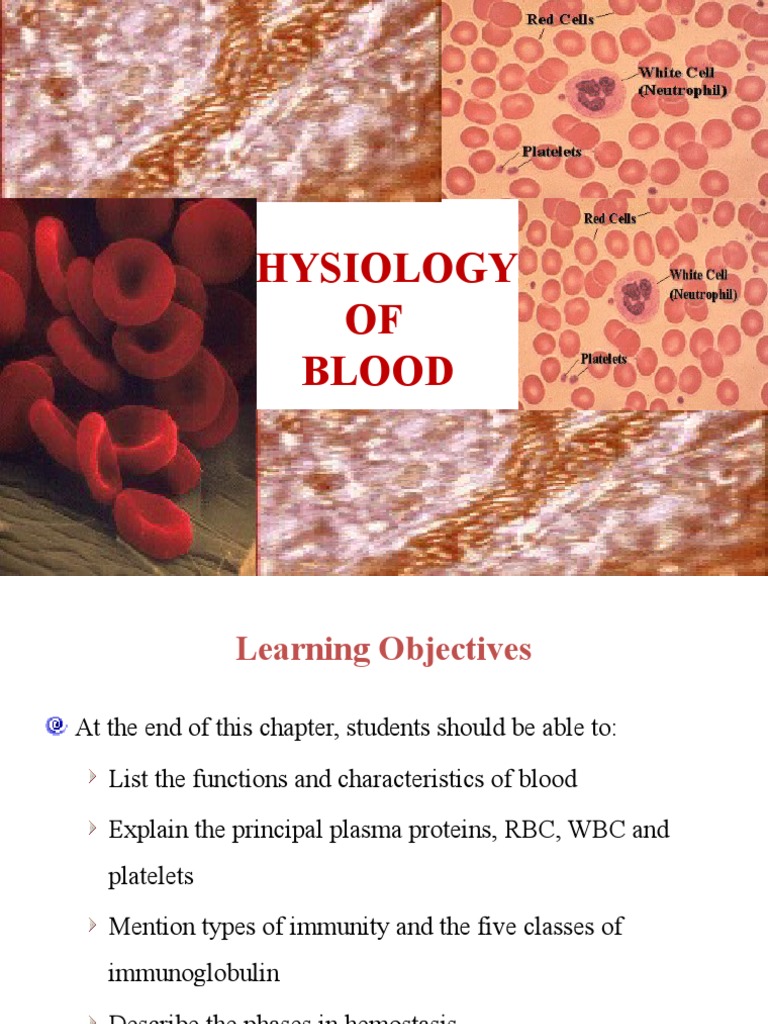 Blood Physiology: Functions and Composition | PDF | Coagulation | White ...