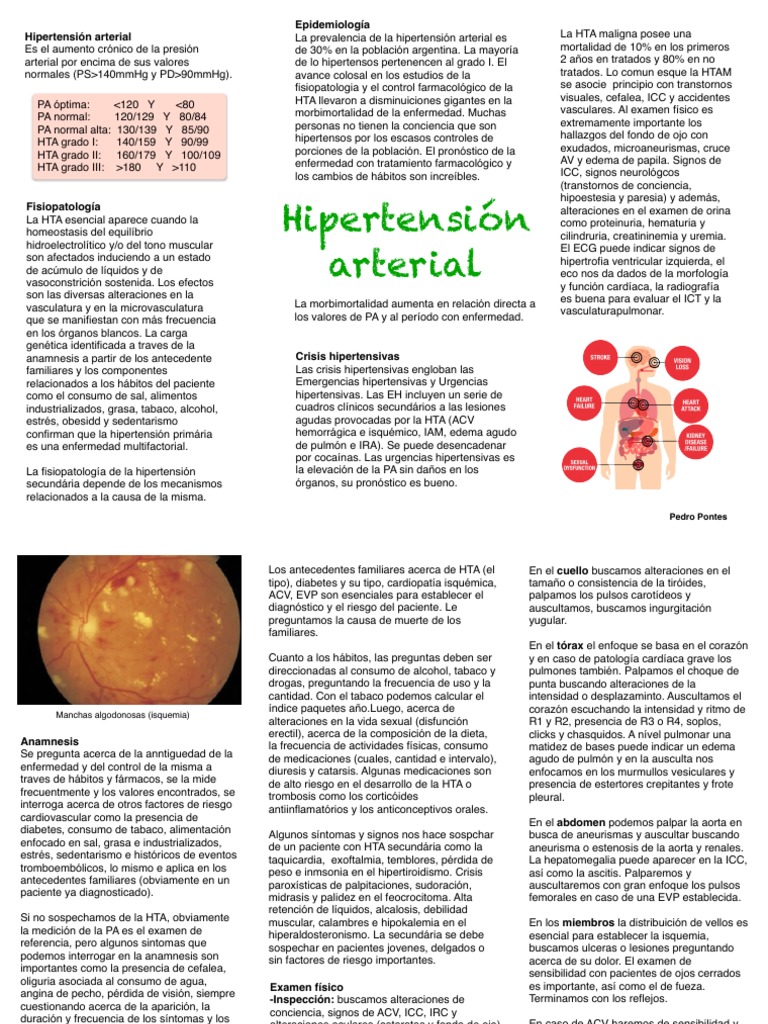 Hipertension Arterial | PDF | Hipertensión | Fisiología