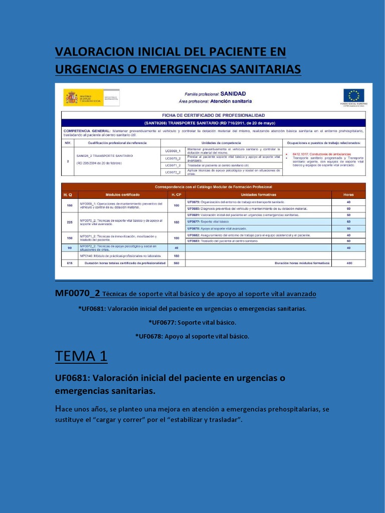 Valoracion Inicial Del Paciente en Urgencias o Emergencias Sanitarias | PDF | Paro cardíaco ...