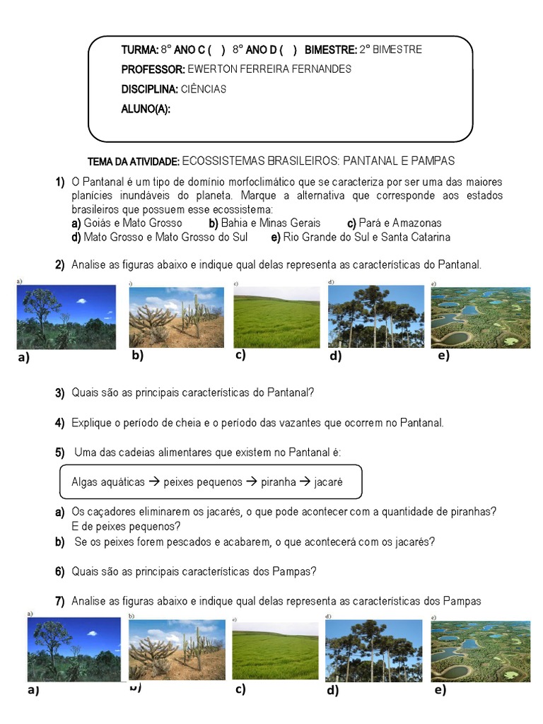 Atividade Sobre Ecossistemas | PDF