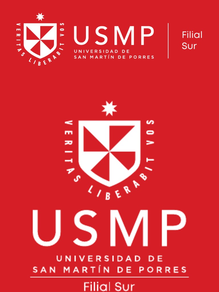 Logo USMP FS PDF | PDF