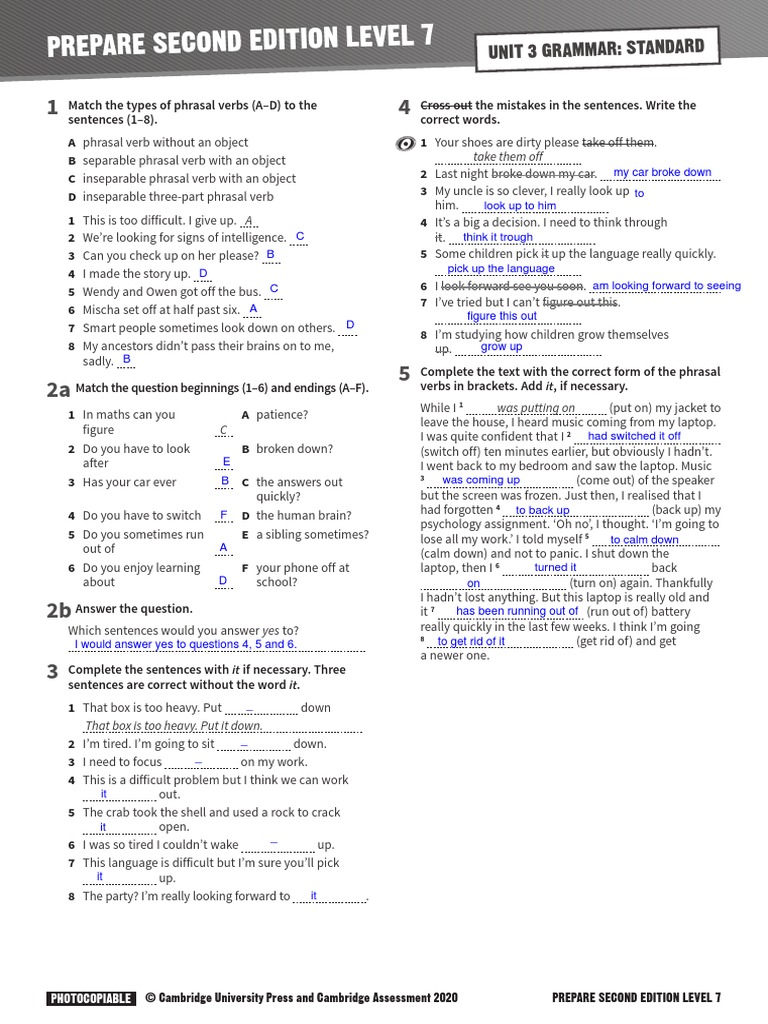 English Voluntary Excersises Unit 3 | PDF | Cognitive Science | Linguistics