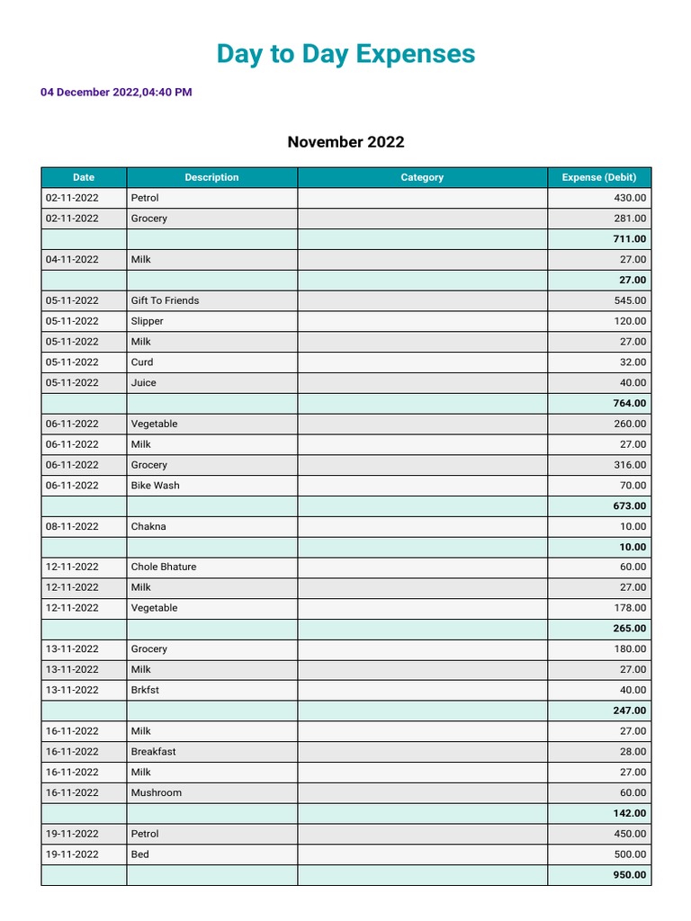 November 2022 Expense Summary | PDF