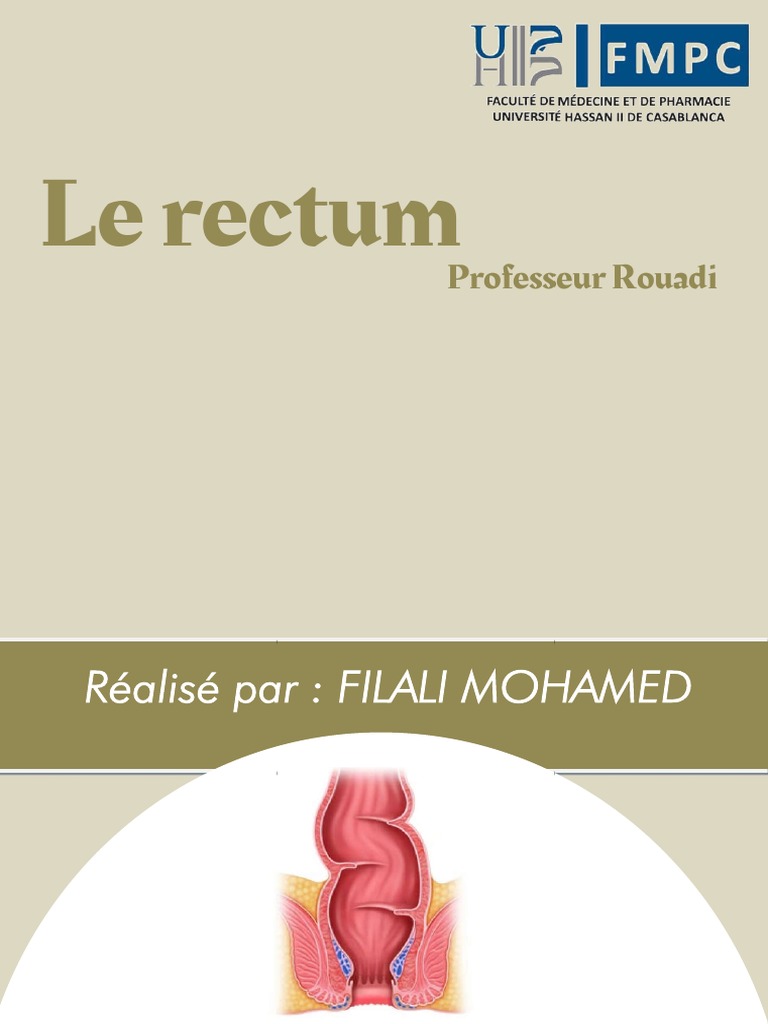 Rectum Filali | PDF