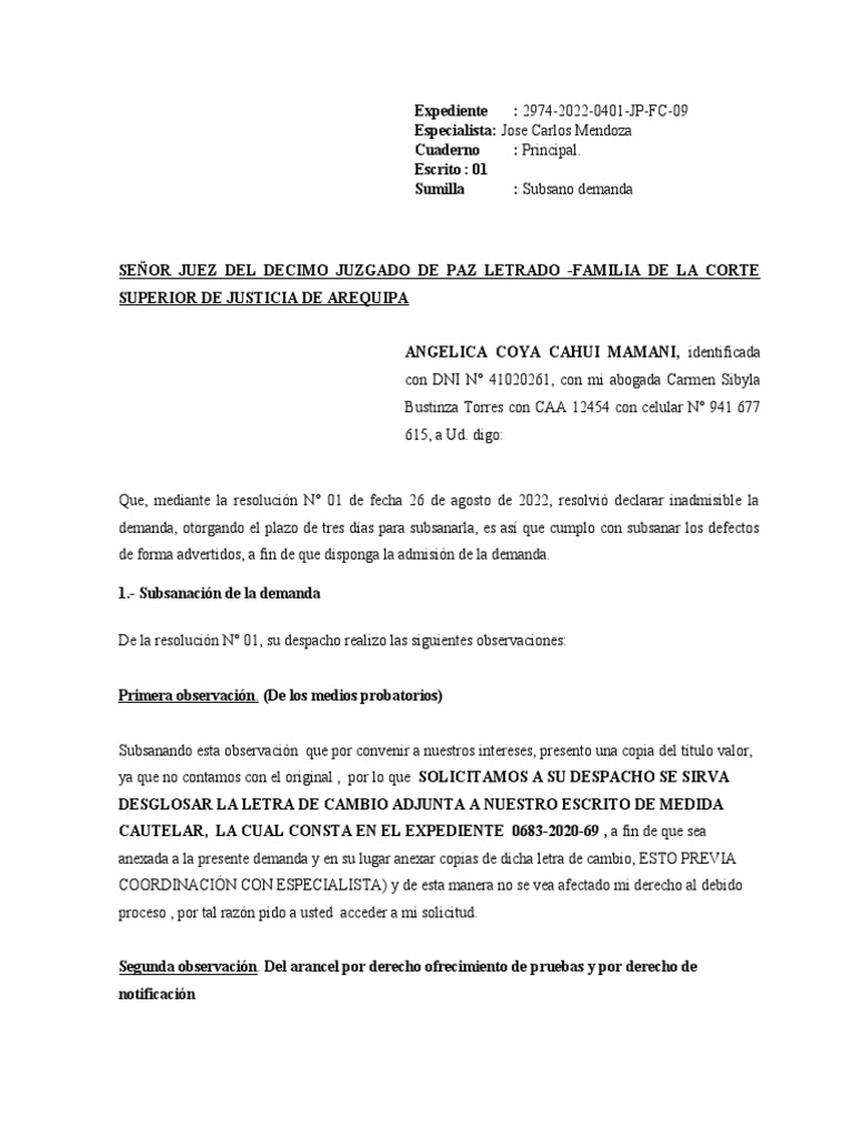 SUBSANACION | PDF | Justicia | Crimen y violencia