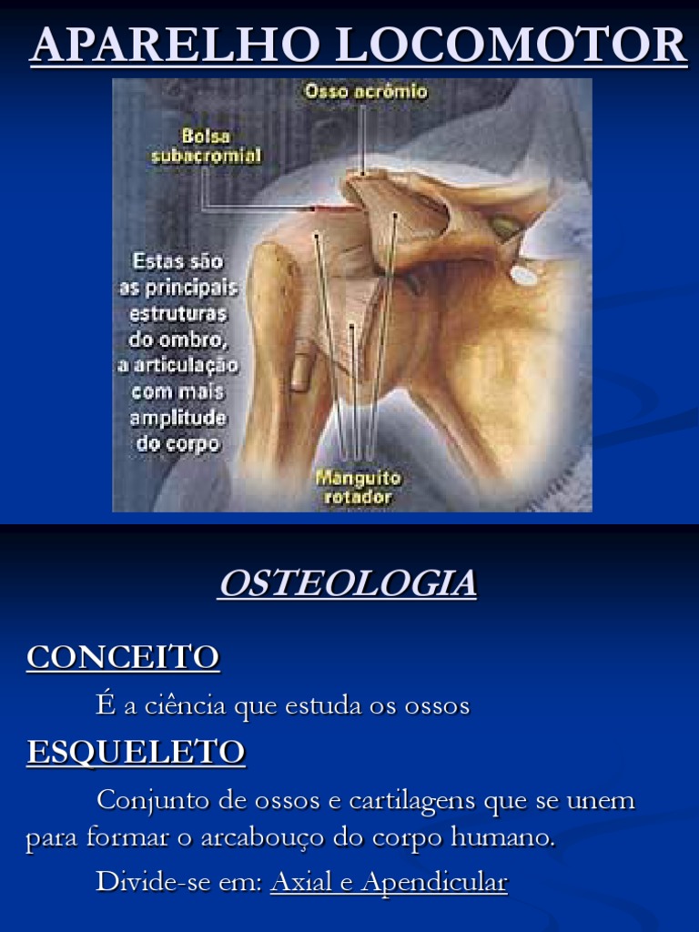 2 (06 - 03) 2° AULA - APARELHO LOCOMOTOR - Osteologia - Mmss | PDF ...