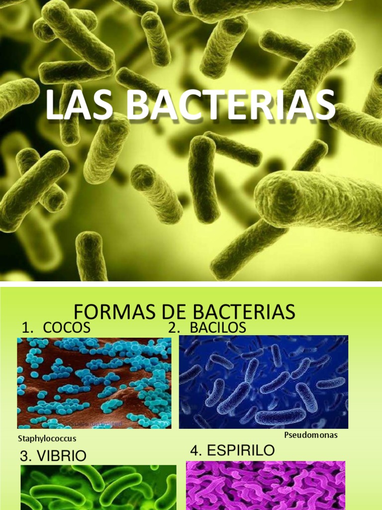 Las Bacterias | PDF