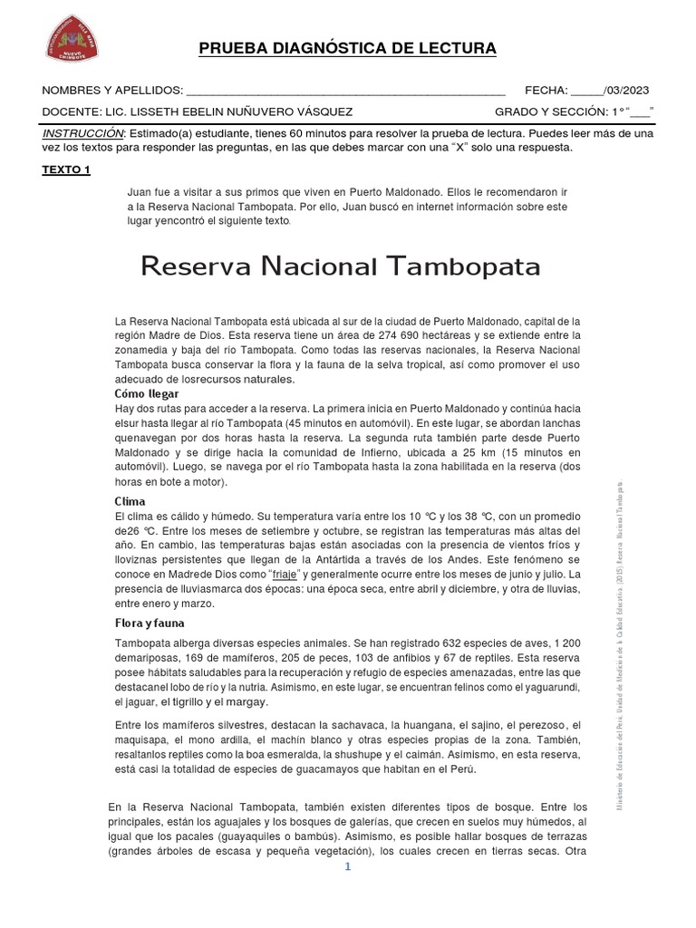 Prueba Diagnóstica de Lectura - Comunicación - 1° | PDF | Estudios de ...